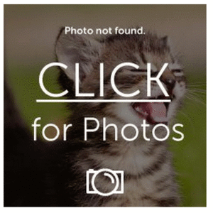 photobucket image not found | The NeoSmart Files